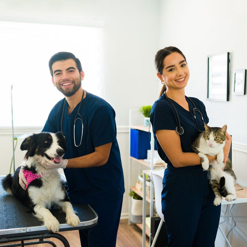 RECOVER Certification - Action Vet Tech Services